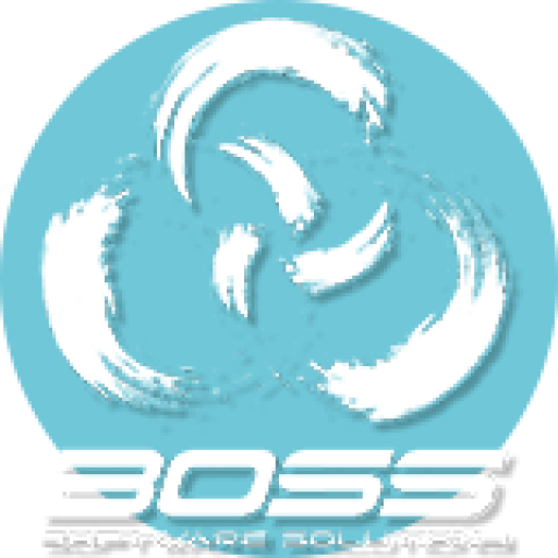 Boss פתרונות תוכנה: כל מה שהעסק שלך צריך במערכת ניהול עסק אחת!